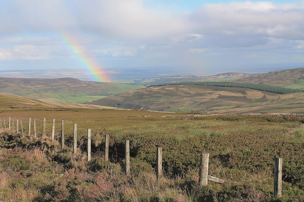 Route: Tamhilt and Hill of Mondurran, Angus Glens | TGO Magazine