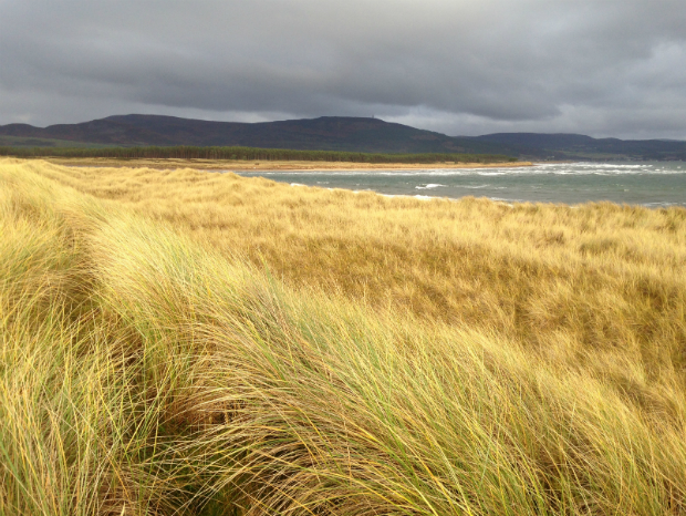 Walking bodies unite to fight controversial Coul Links golf course bid ...