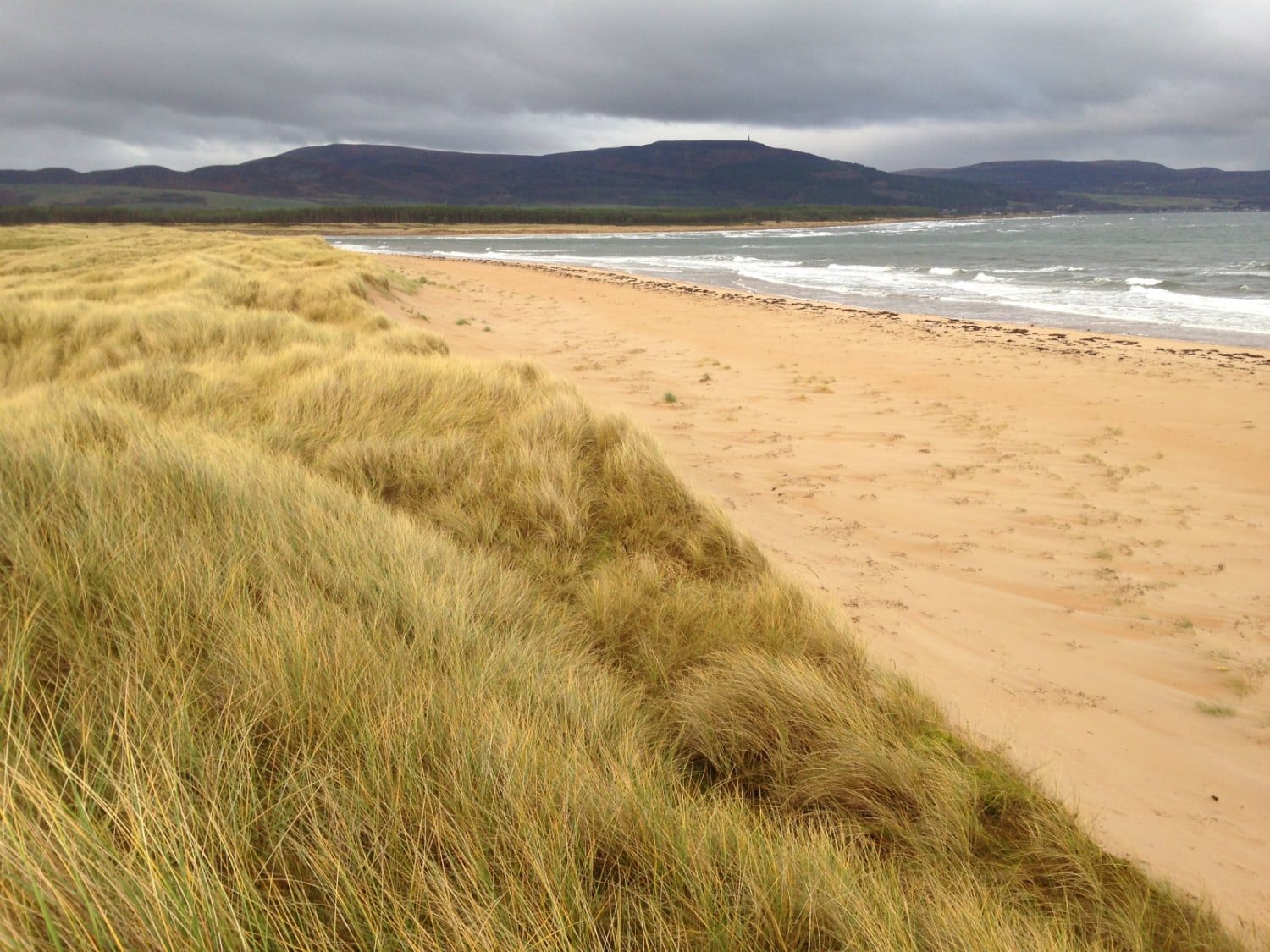 Walkers bid to save ‘wild and special’ Highland dunes at Coul Links ...