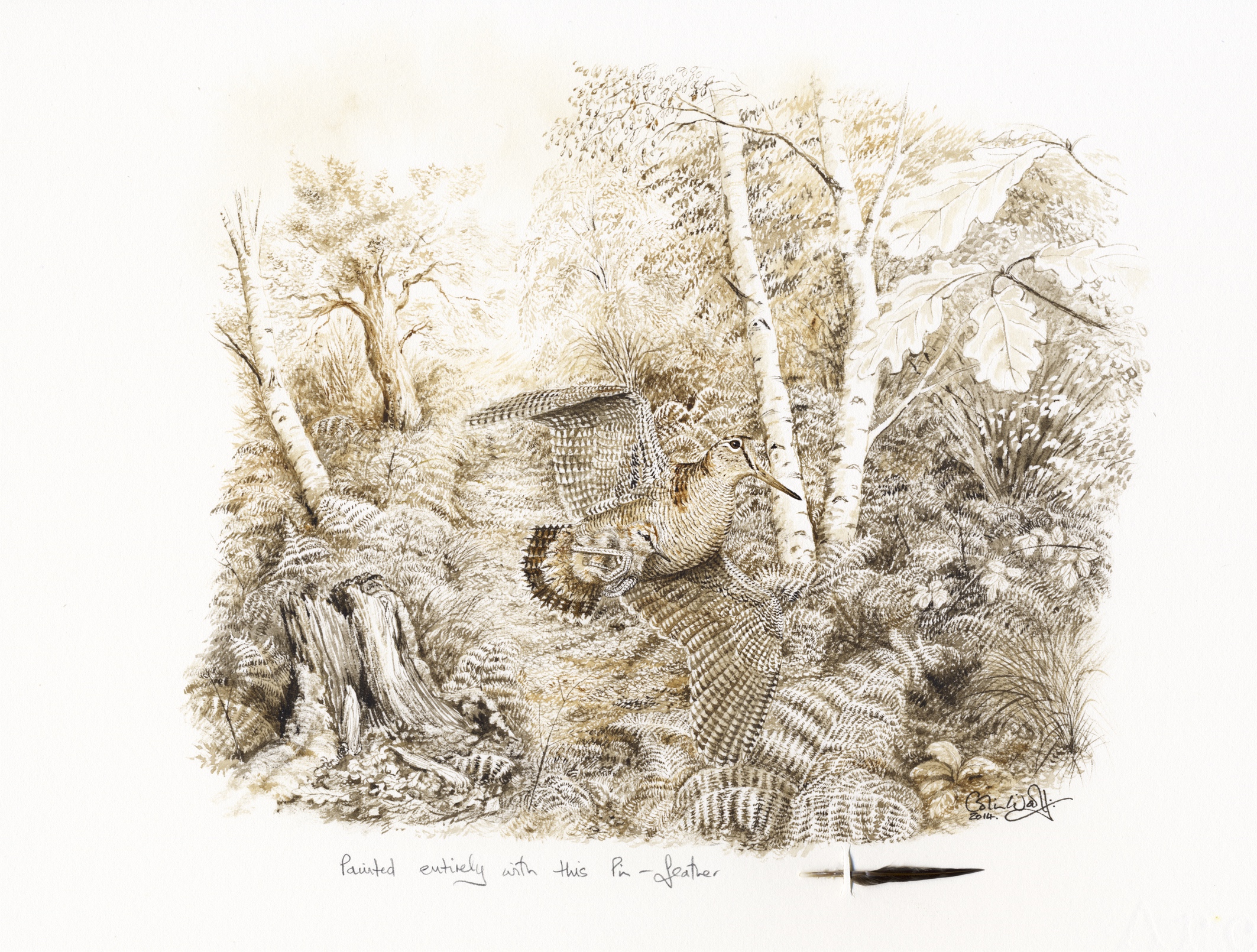 Creator of the Month: The pin-feather paintings of Colin Woolf | TGO ...