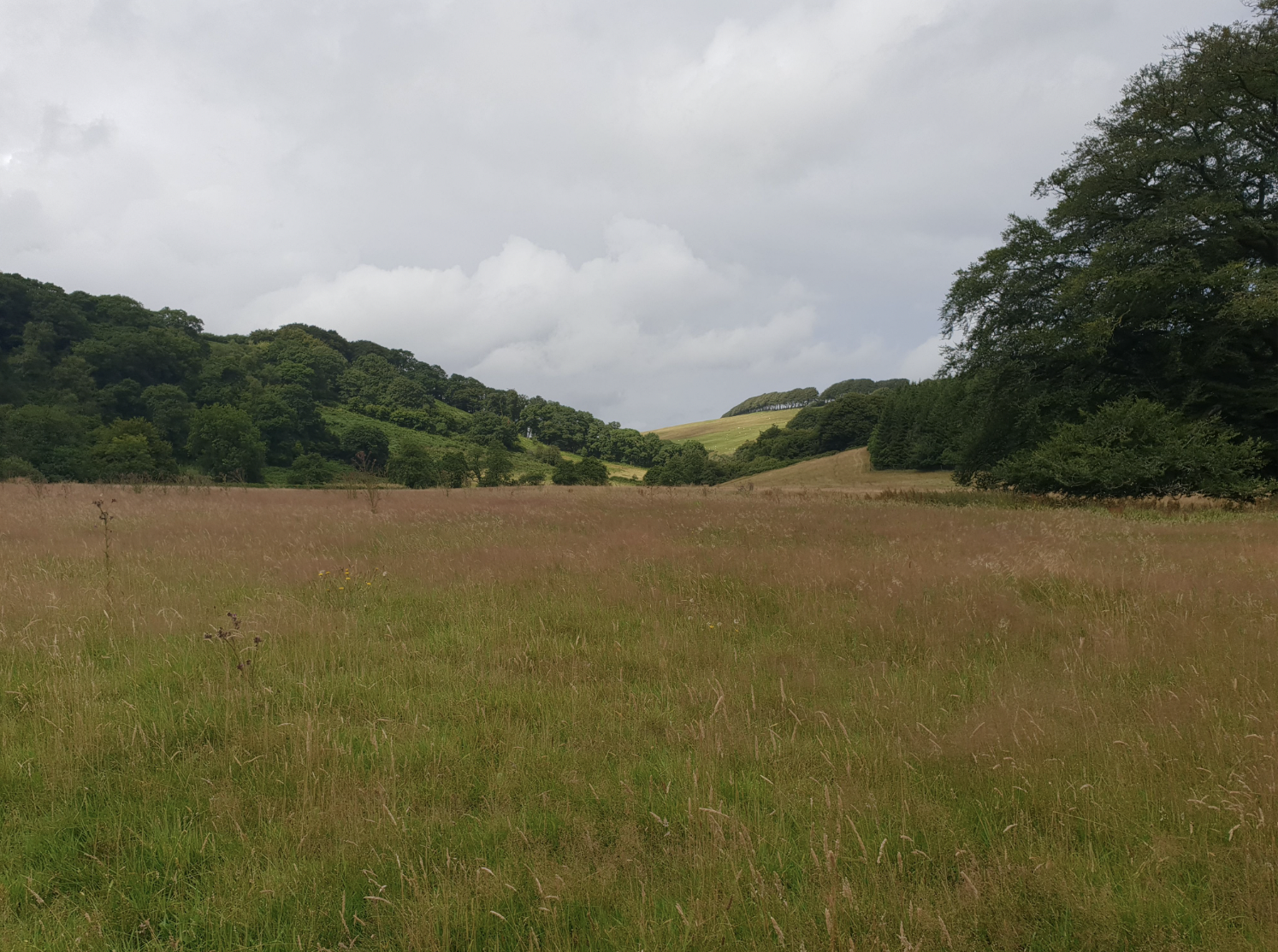 Hike Two Moors Way: route guide | TGO Magazine