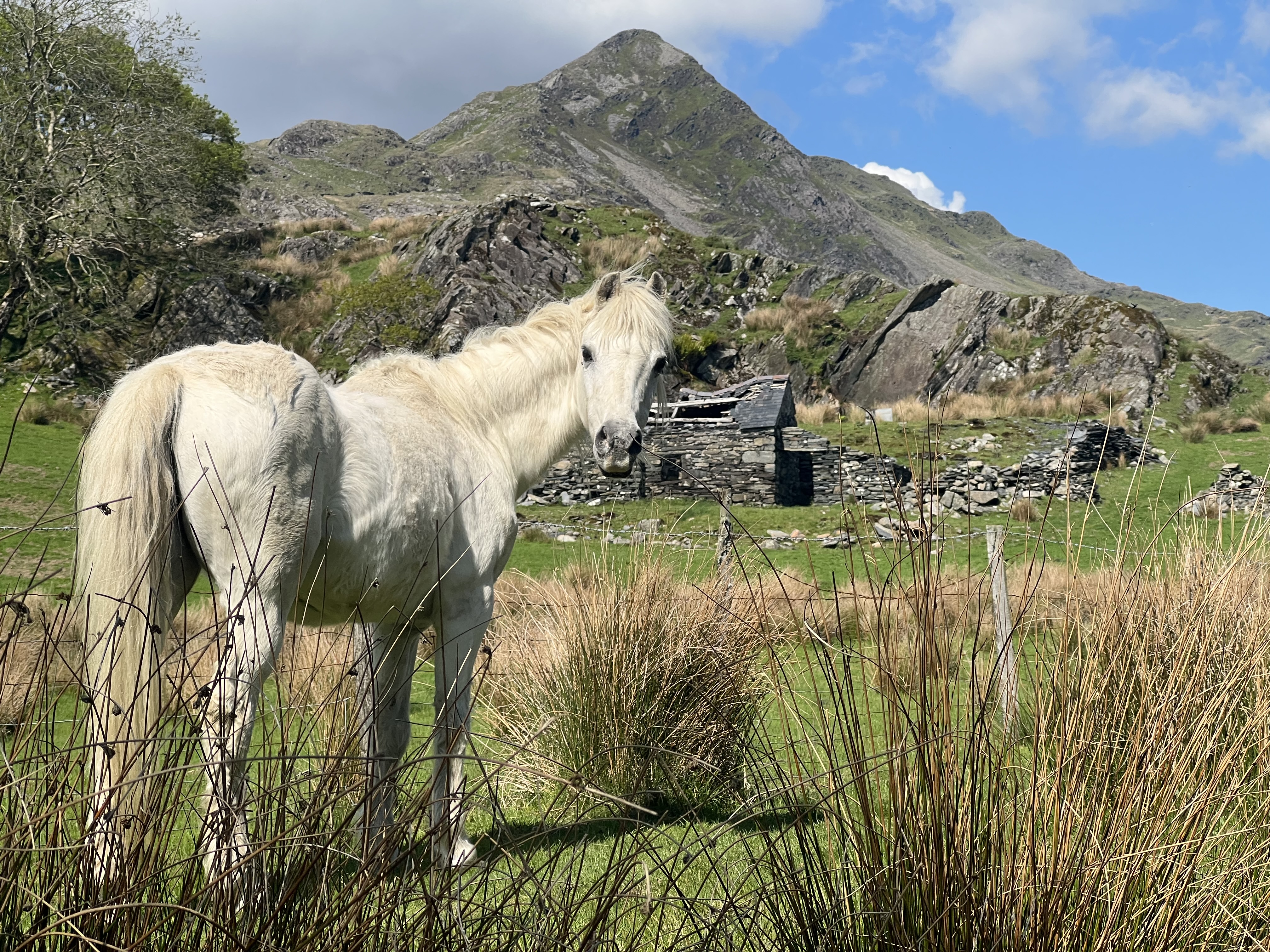 Snowdonia Slate Trail: route guide | TGO Magazine
