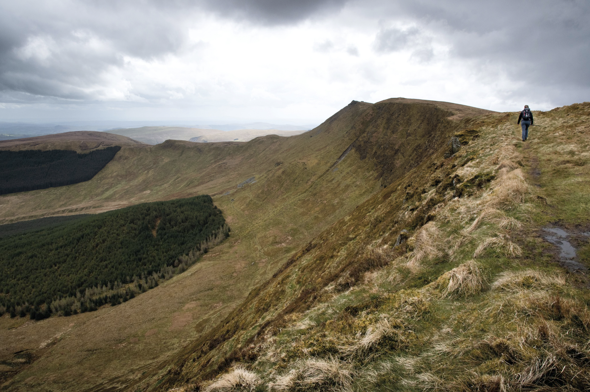 Cadair Berwyn via The Hand at Llanarmon: route guide | TGO Magazine