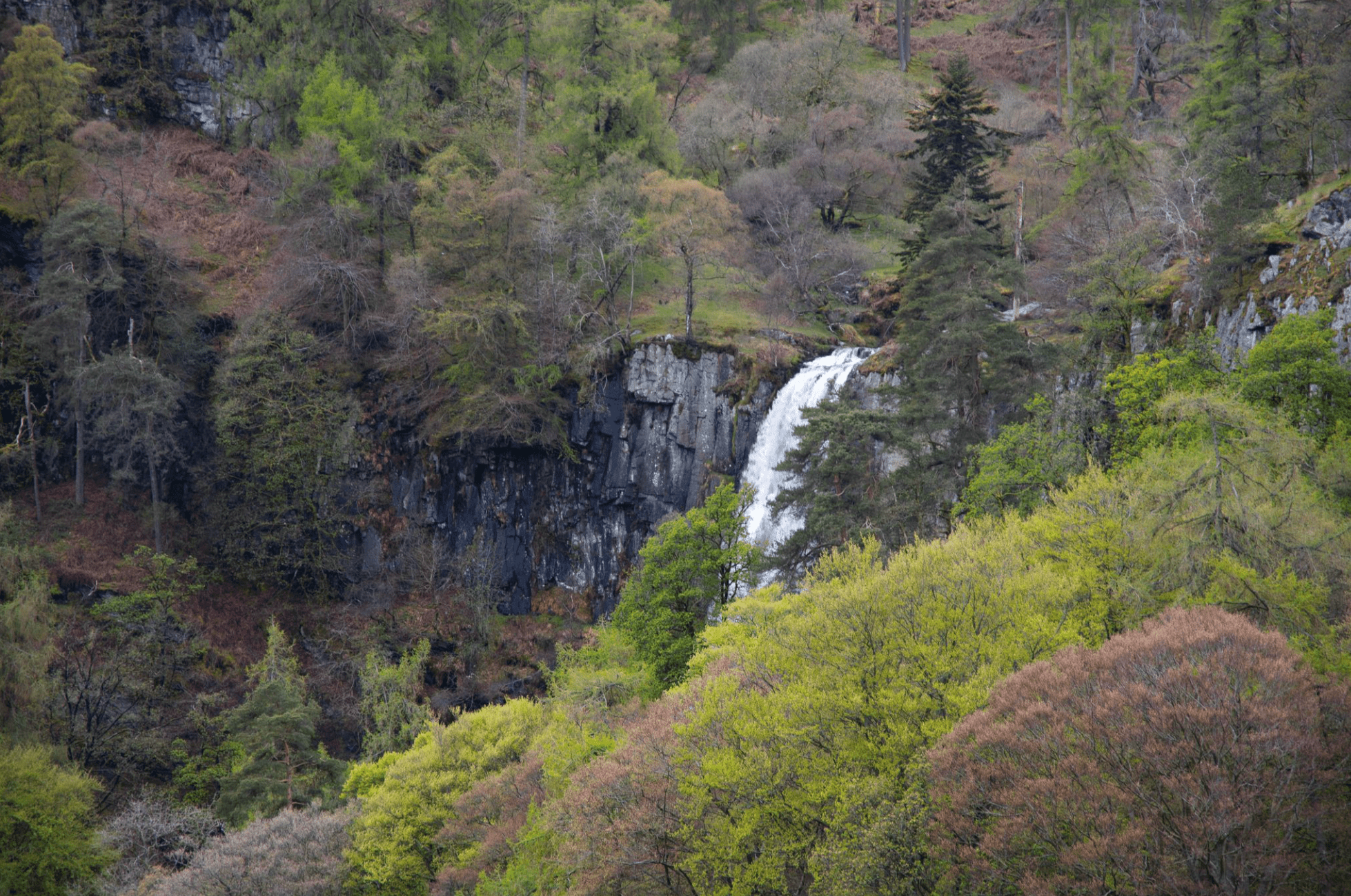 Cadair Berwyn via The Hand at Llanarmon: route guide | TGO Magazine
