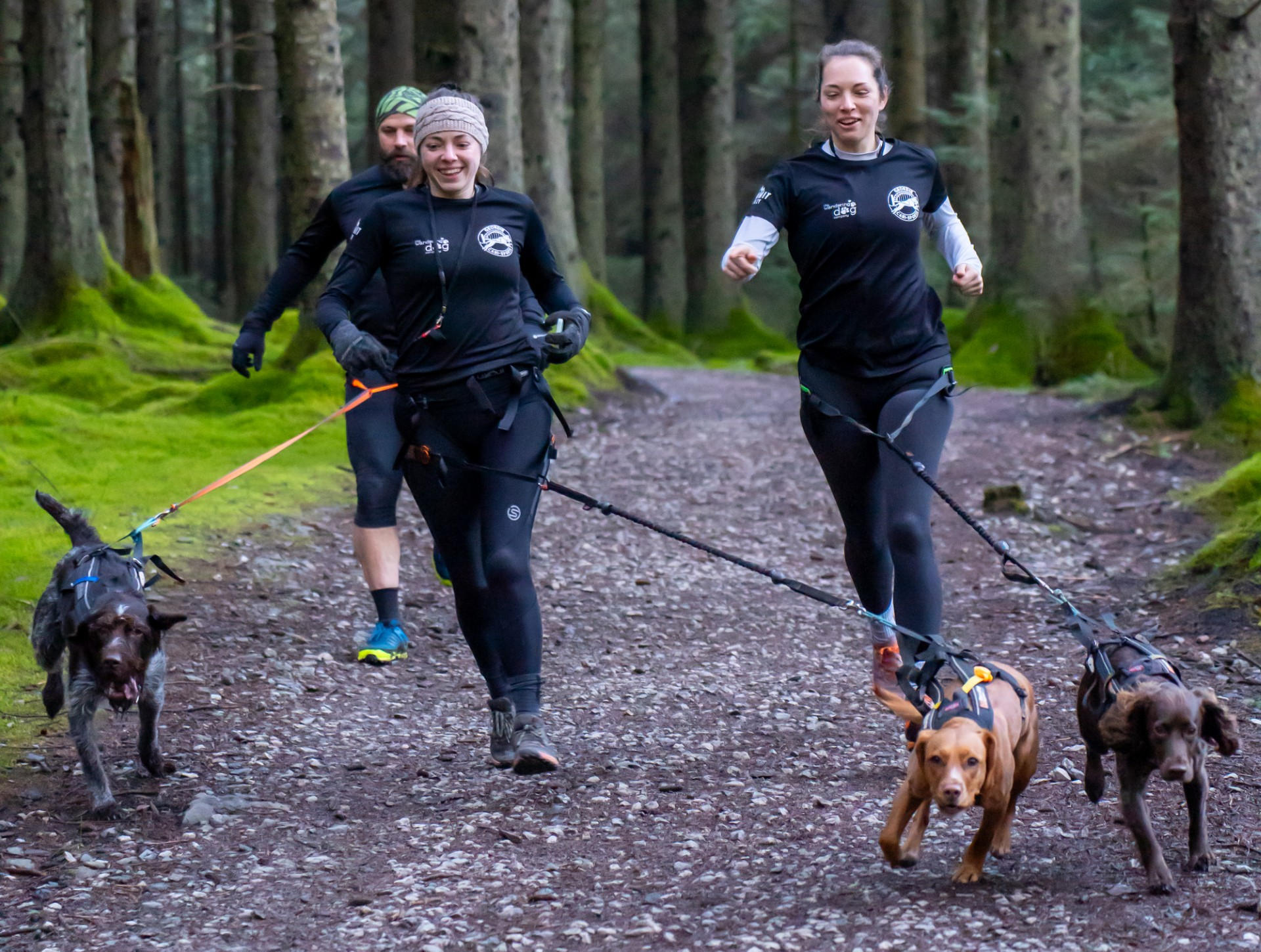 Outdoor events and walking festivals in the UK | TGO Magazine