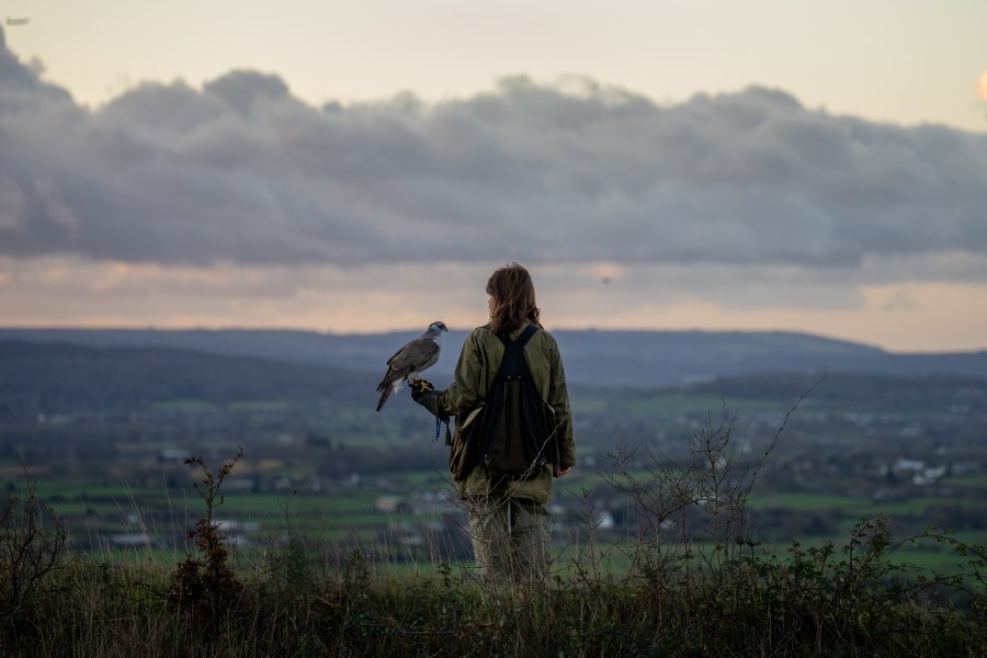 Film review: good things come to audiences who wait in 'H is for Hawk ...