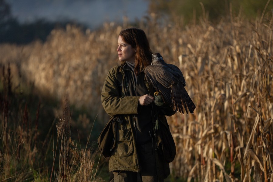 Film review: good things come to audiences who wait in 'H is for Hawk ...